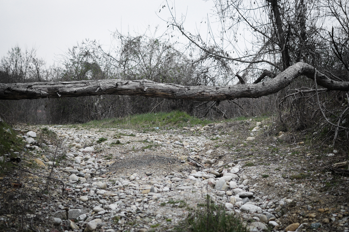 Disappeared - Luca Prestia