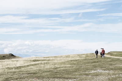 Disappeared - Luca Prestia