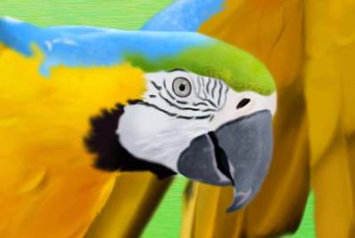 Illustration - maryoriehp