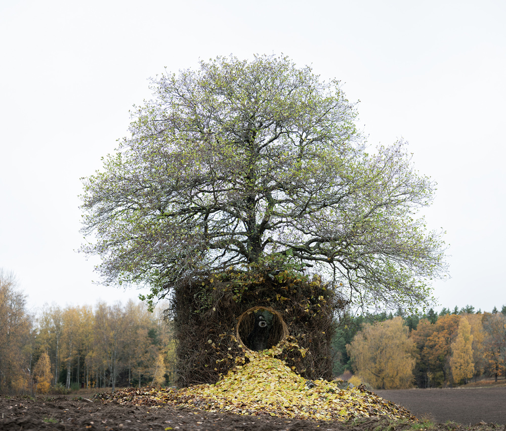 ONE TREE FOUR SEASONS - SEASON III - UMA