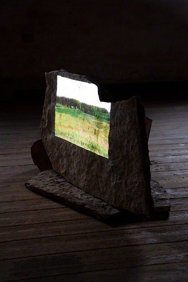 The Meadow (2017) - mikkohaiko