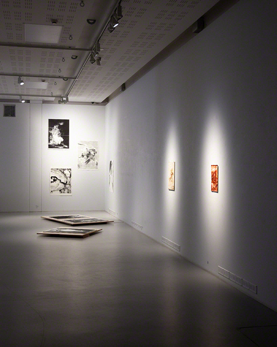 Exhibition Views - mikkohaiko
