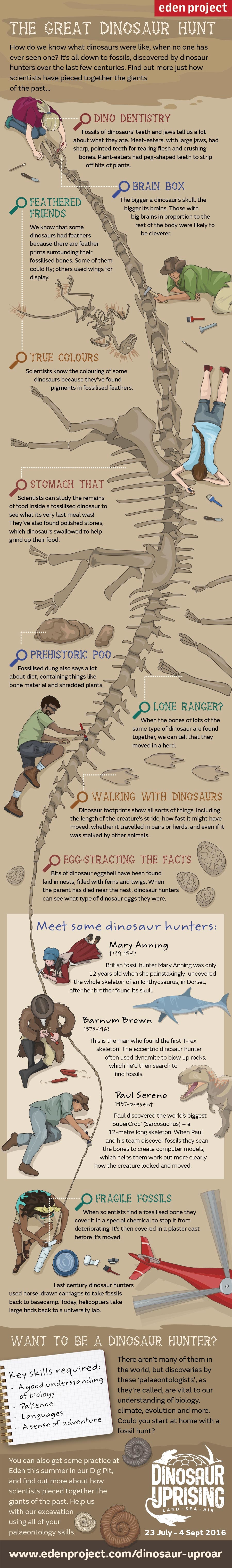 The great dinosaur hunt infographic - Kathryn Nichols Illustration