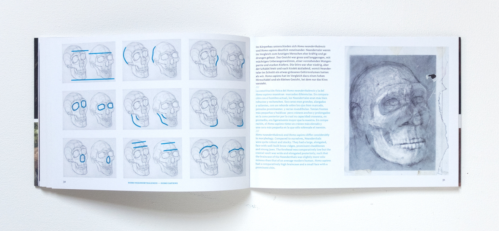 Homo neanderthalensis – Homo sapiens - Minks –– Illustration und Grafik