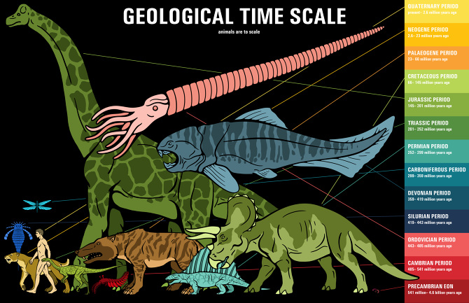 Geological Time Scale - Dean Bolton - Portfolio