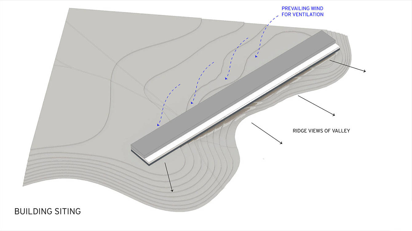Data Playground - www.antoniadevine.com