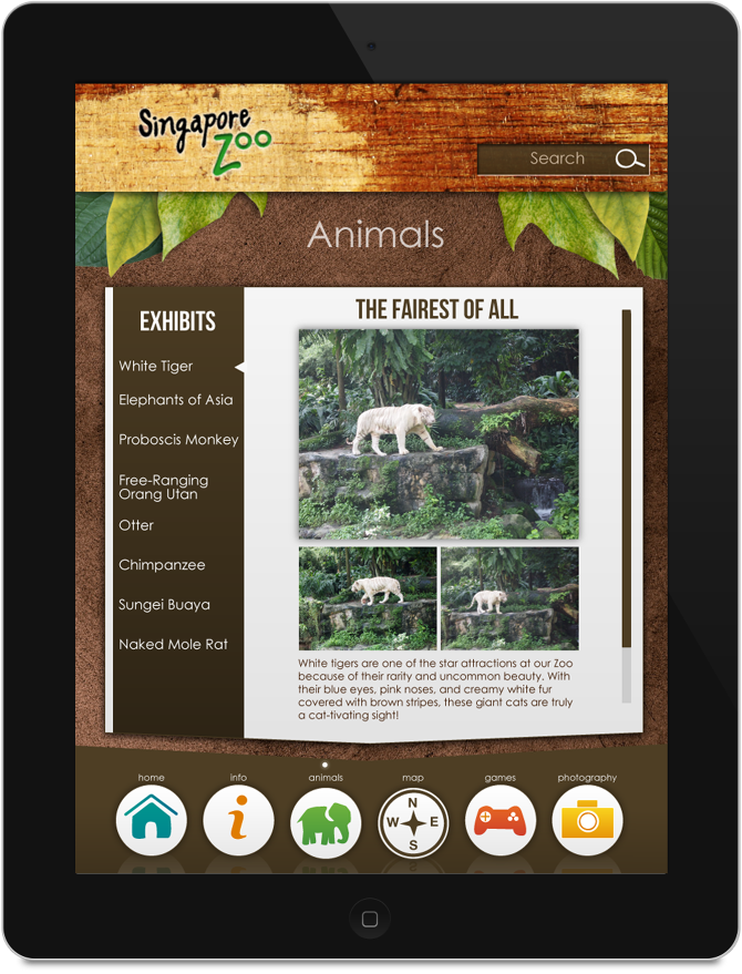 Singapore Zoo App // UI/UX Interface Design - Amy