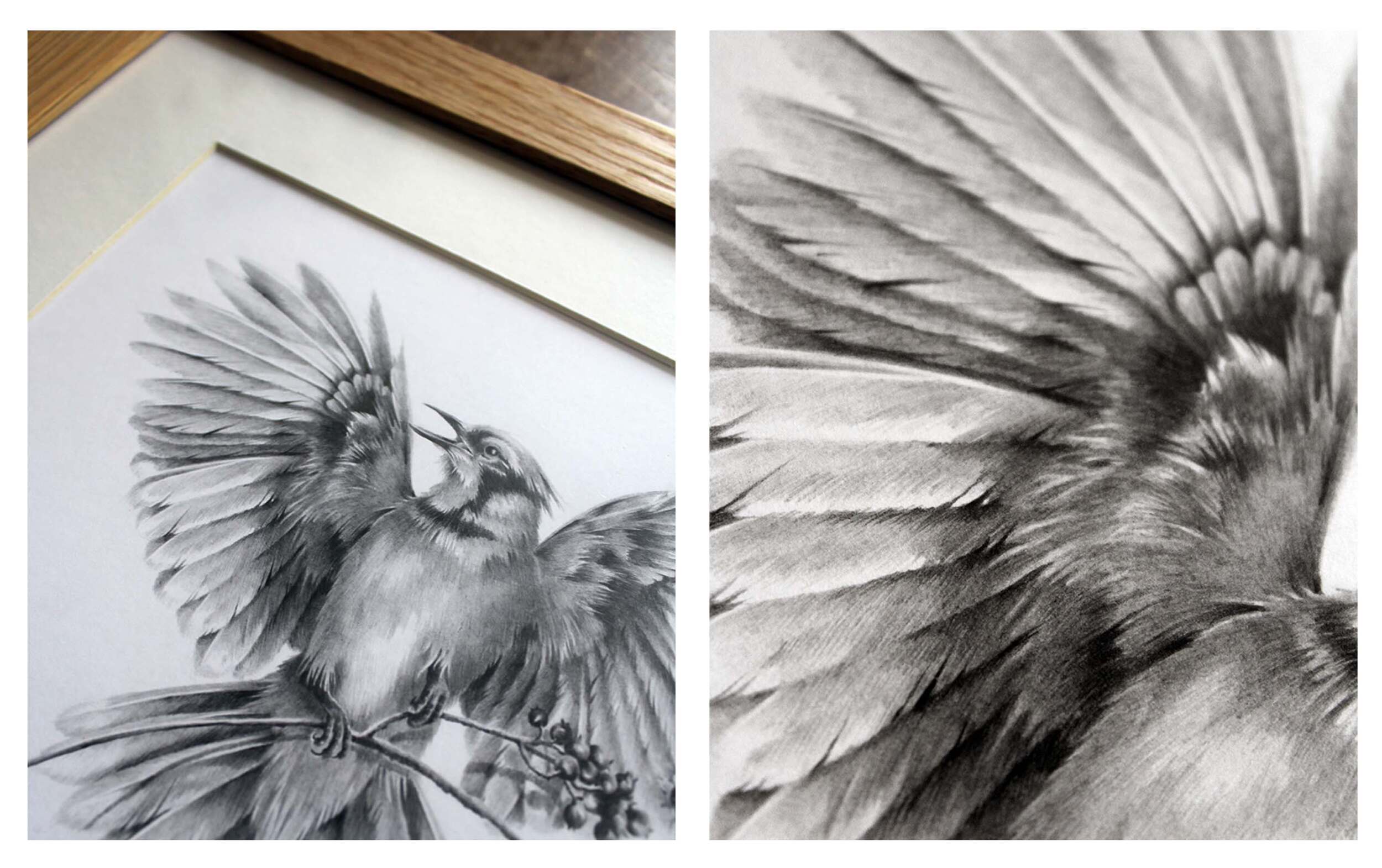 Fractured Aviary - Katy Harrald Pencil Artist and Illustrator