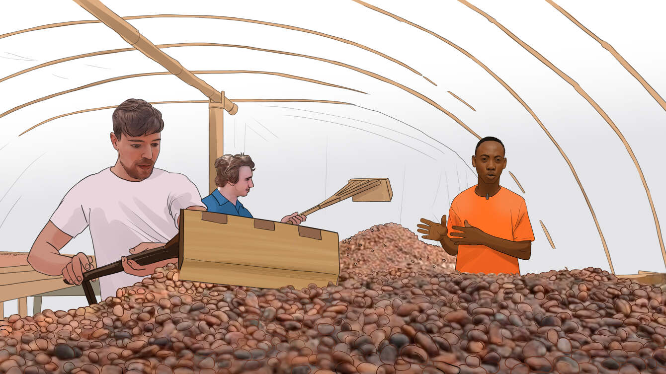 MrBeast Feastables Concept 1 - seanvec.com