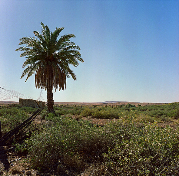 French Line_Simpson Desert_ Strzeleki Track - annulla