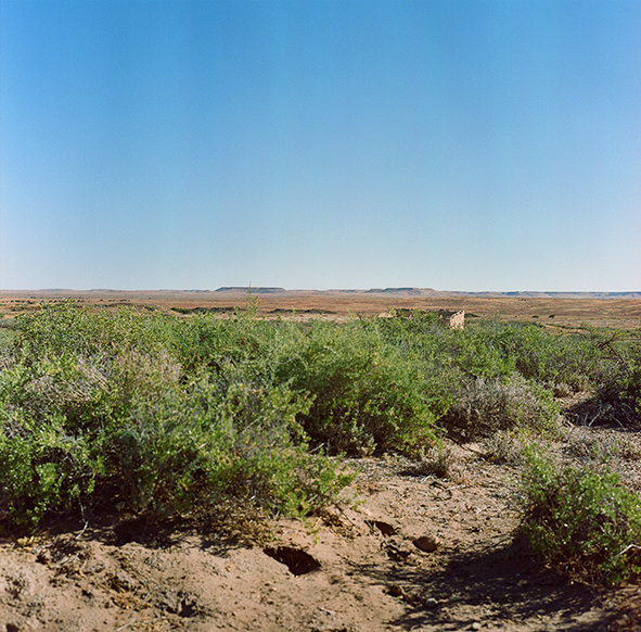 French Line_Simpson Desert_ Strzeleki Track - annulla