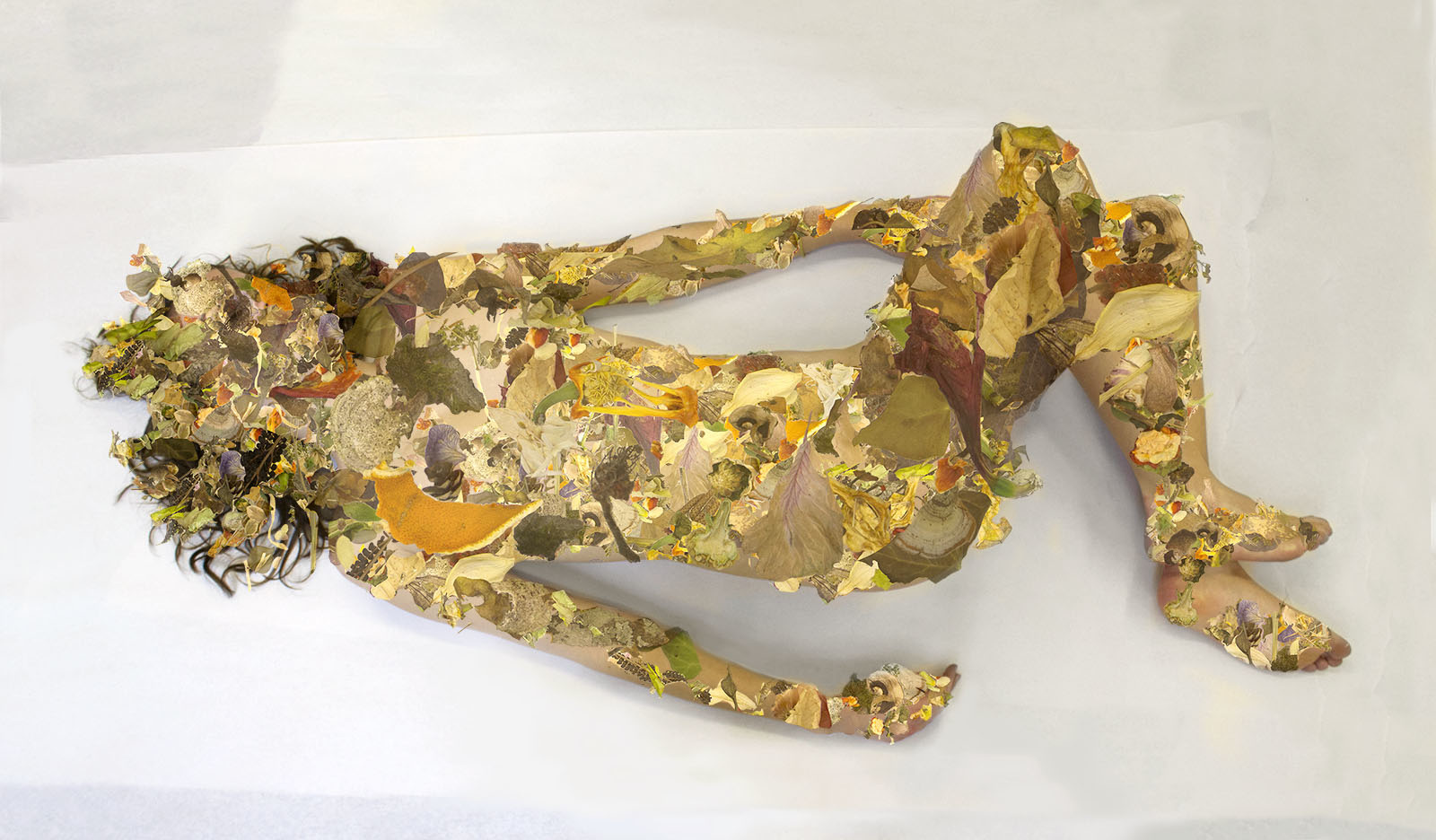 The Human Specimen - Rachel Aisenson