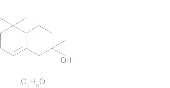 AMBRINOL 95 - The Scented Tee