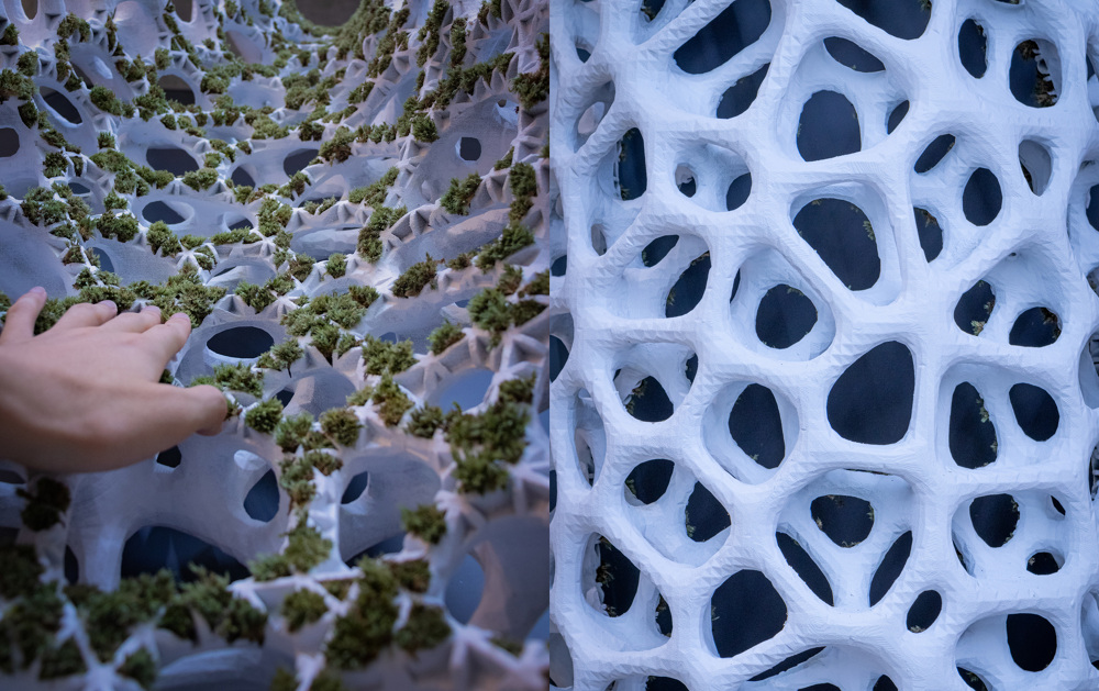 MOSS TOWER - Yong Ju Lee