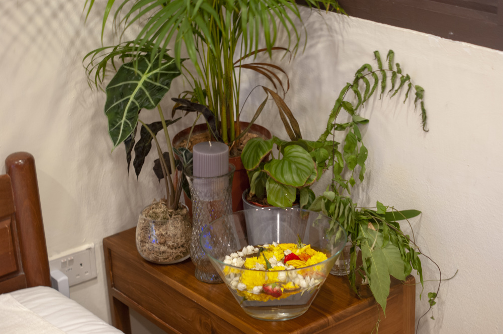 The Hibiscus: Spa & Wellness - DIVAAGAR