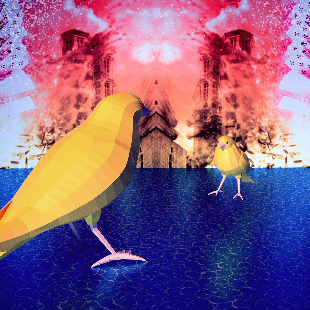 Bird Internet - DIVAAGAR