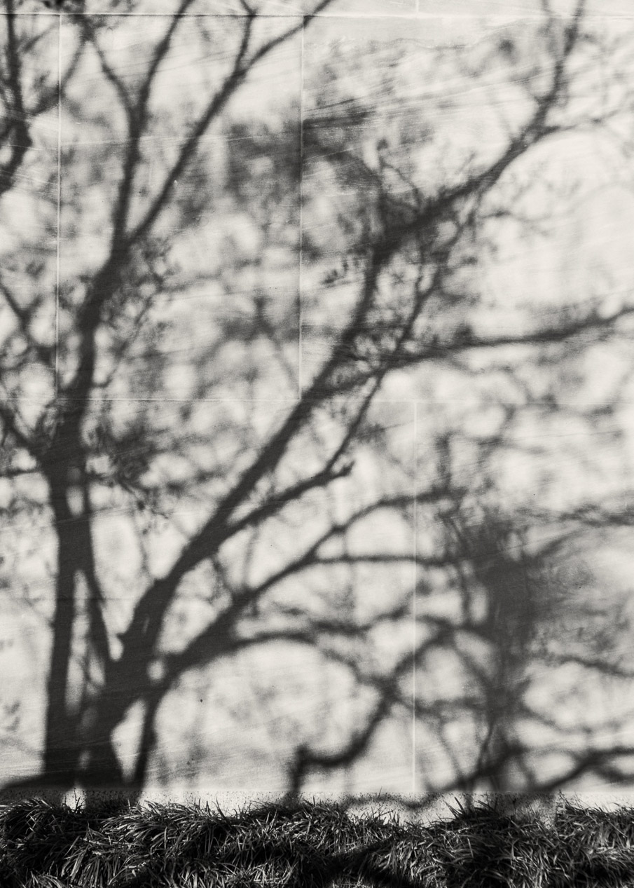 Michael McAlpine - www.eliashassos.de