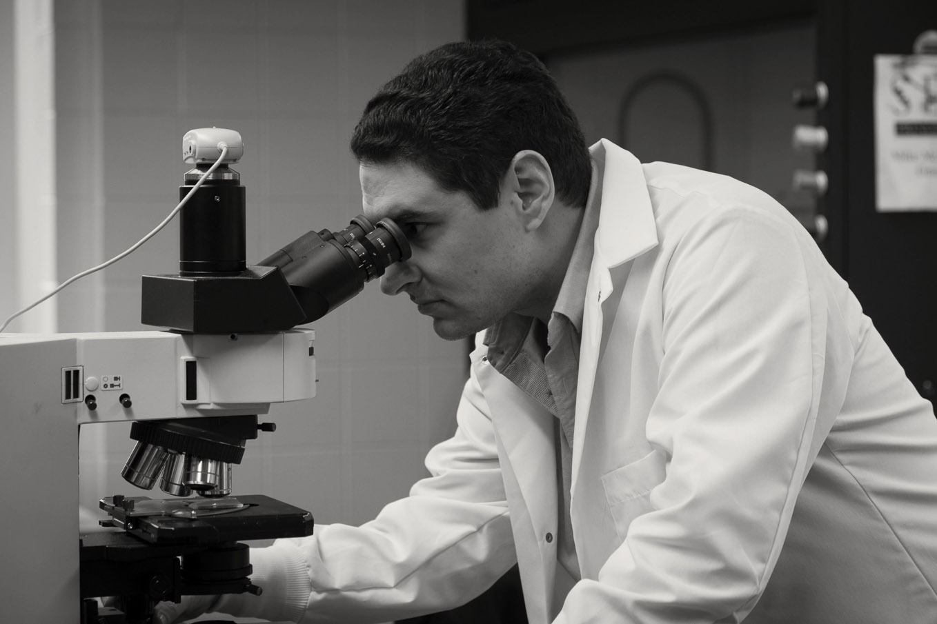 Michael McAlpine - www.eliashassos.de