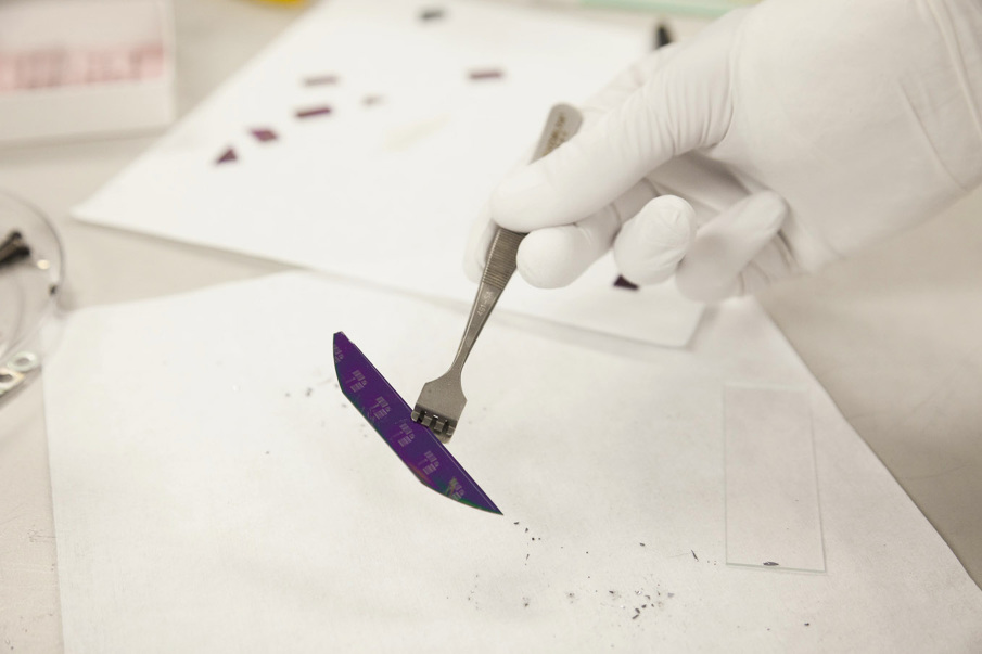 Michael McAlpine - www.eliashassos.de