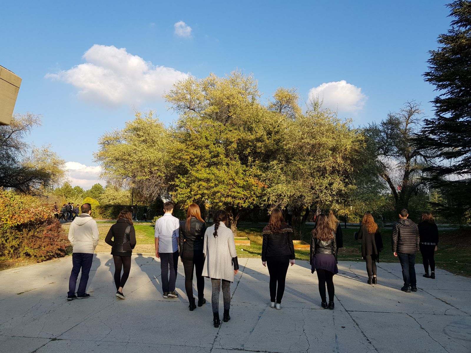 Workshops - Eliza Soroga