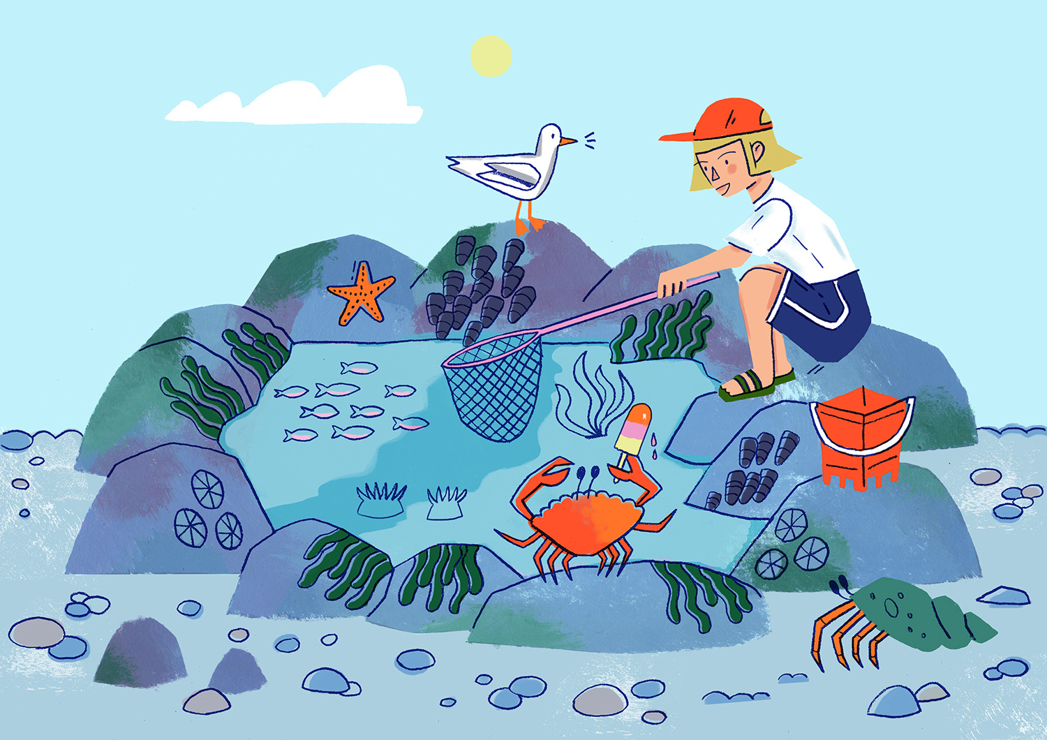 Rock Pool - ninagoodyer