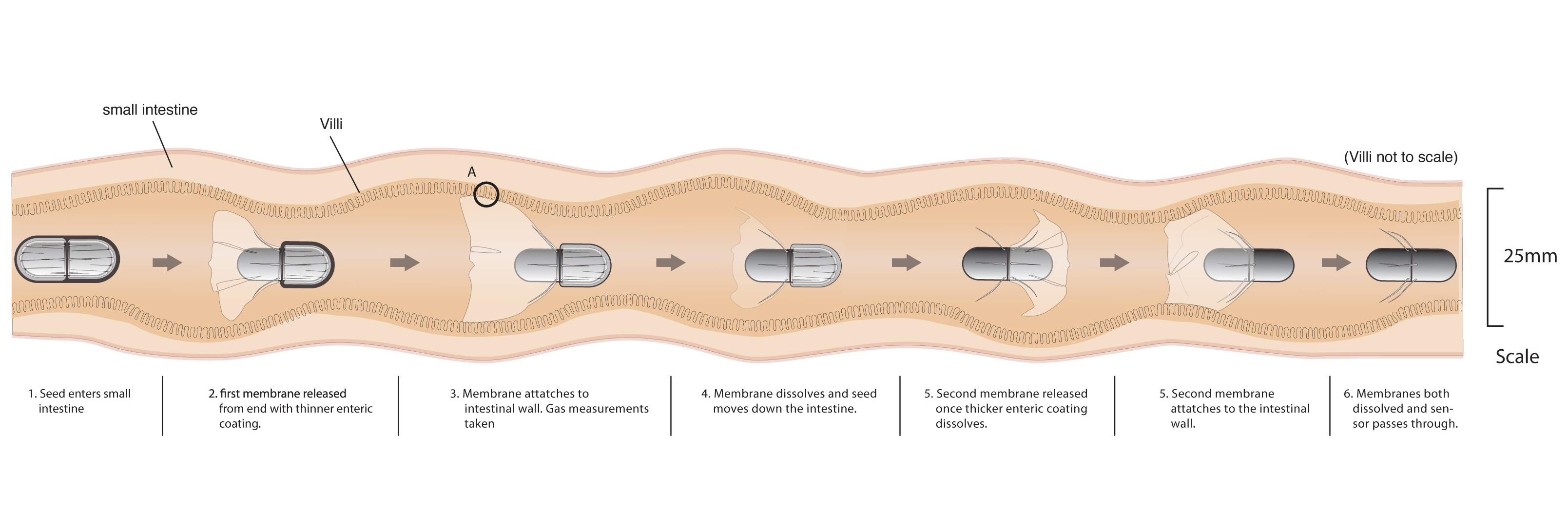simon lowther design