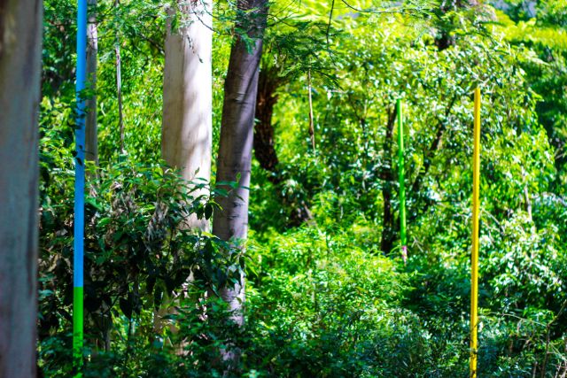 Site Overlay / Acoustic Survey - Melbourne Museum(forest gallery) 30 ...