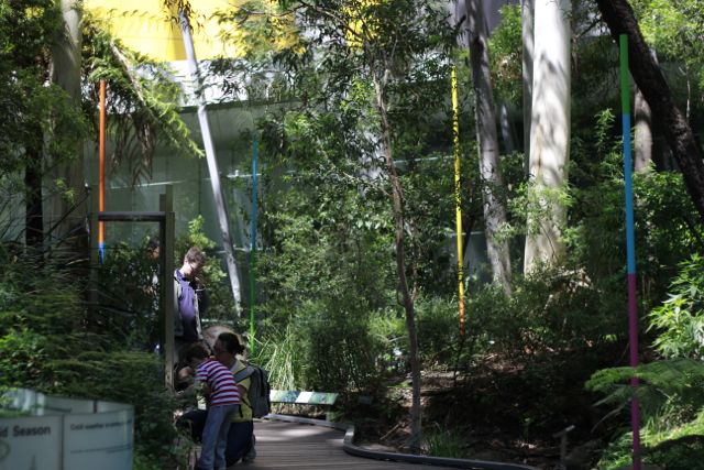 Site Overlay / Acoustic Survey - Melbourne Museum(forest gallery) 30 ...