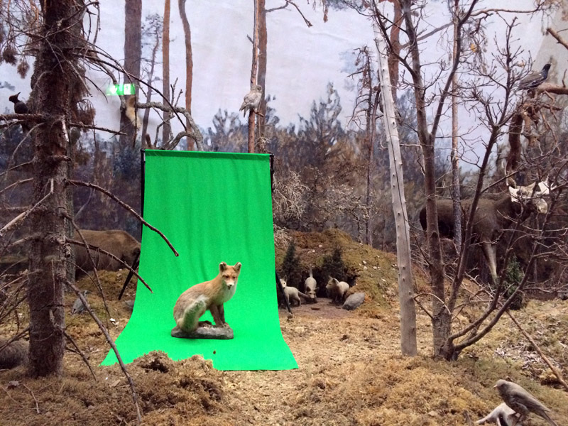 Green Screen - katjaaglert.com