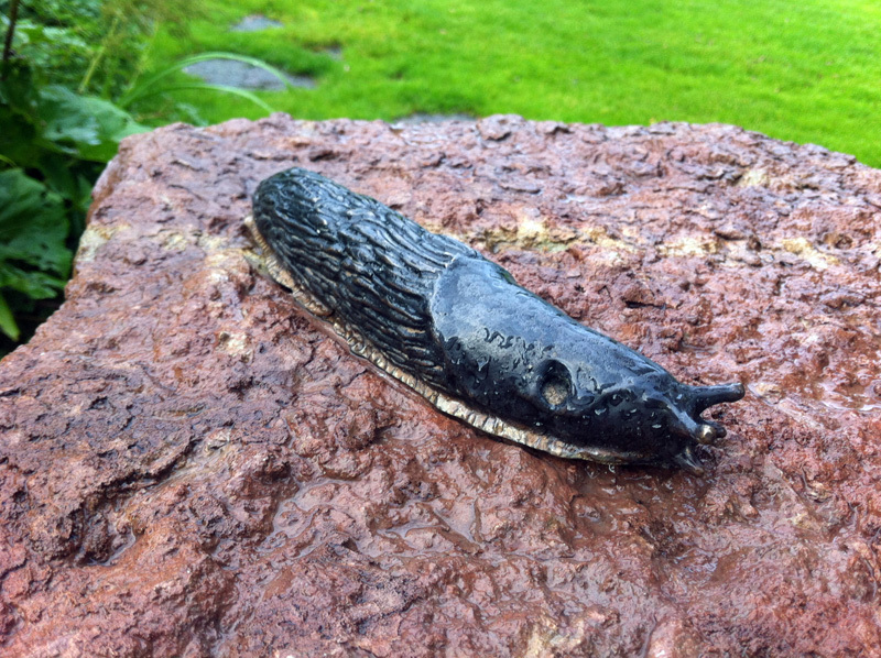 Liminal Creature - katjaaglert.com