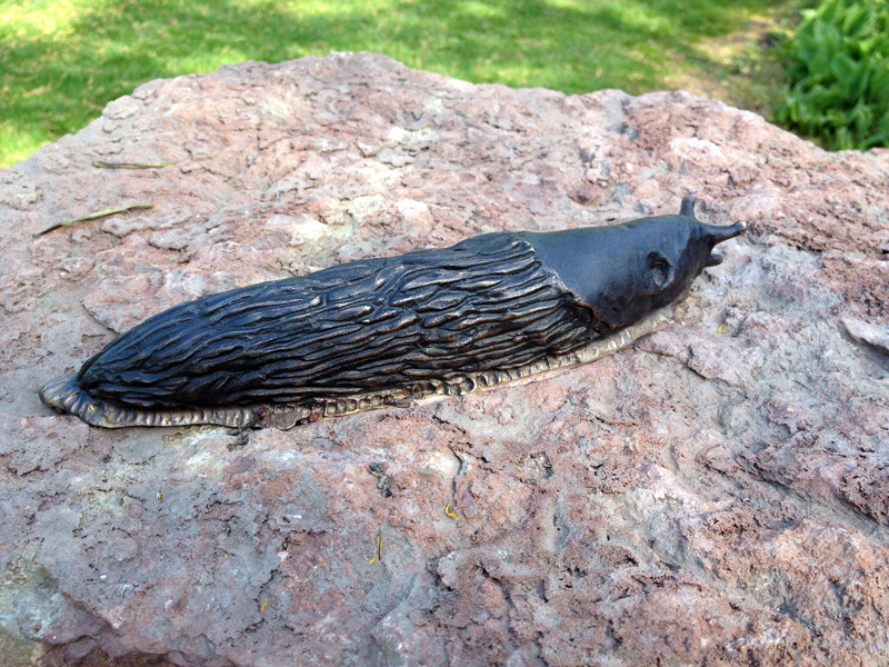 Liminal Creature - katjaaglert.com