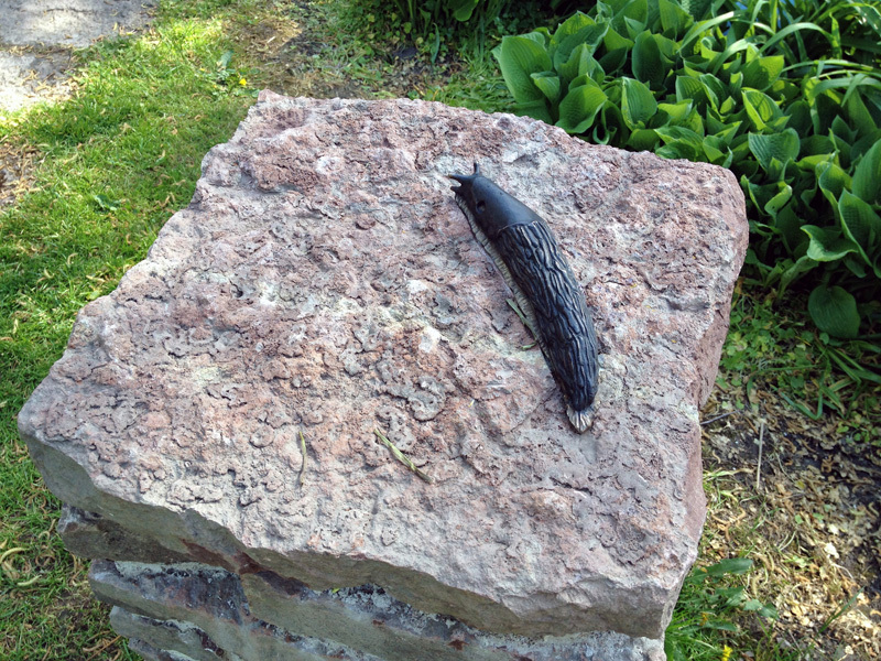 Liminal Creature - katjaaglert.com