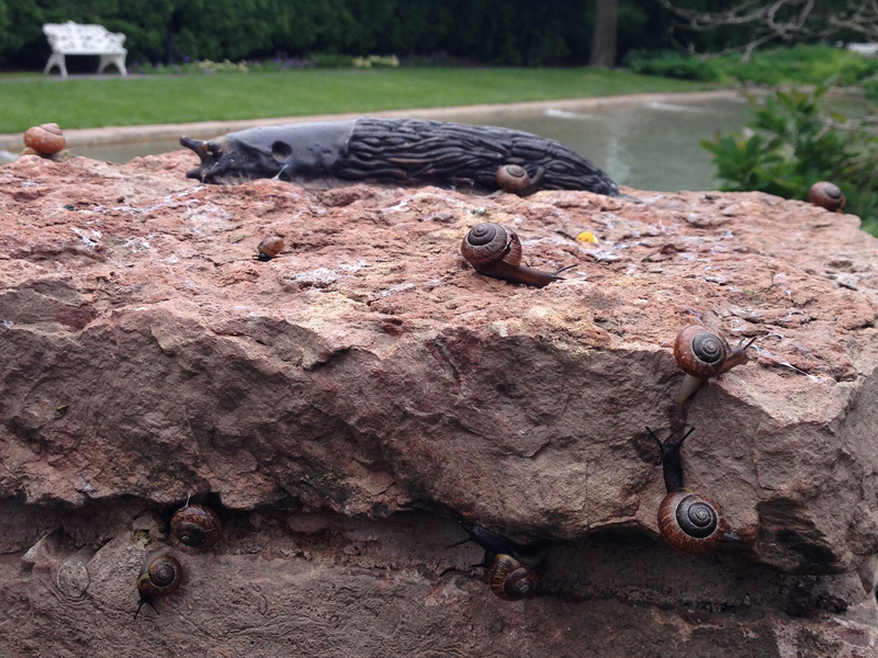 Liminal Creature - katjaaglert.com