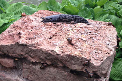 Liminal Creature - katjaaglert.com