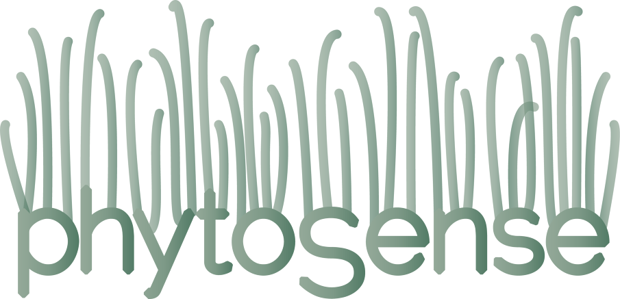 phytoSense interactive facade - car menez