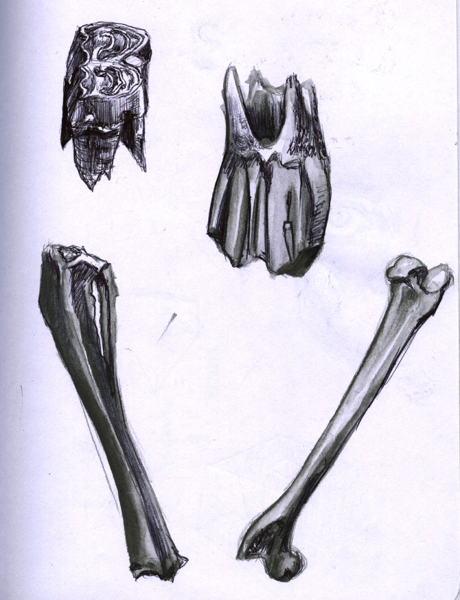 Drawing From Nature - Jenna Krug Design