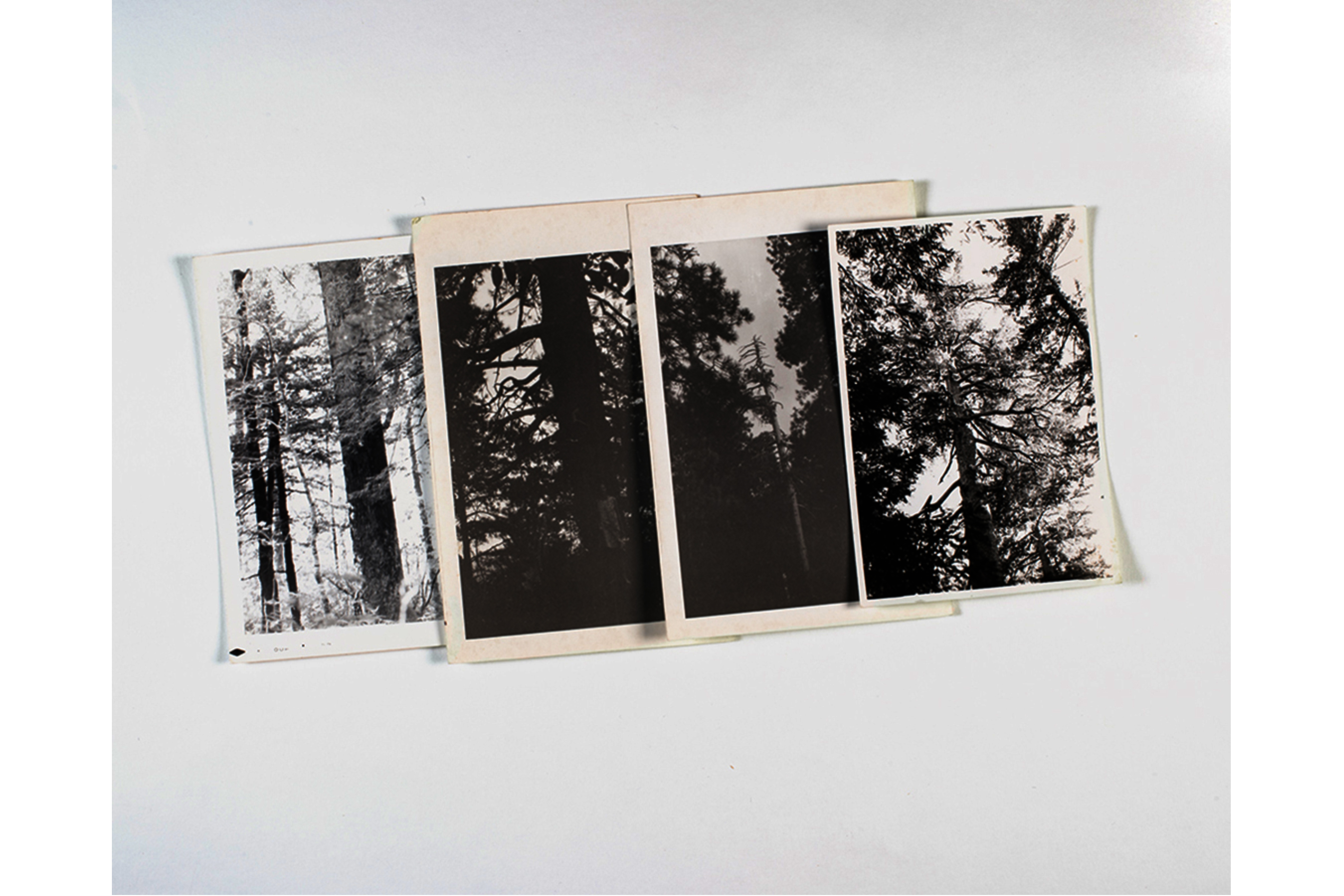 Helen Jones Photography