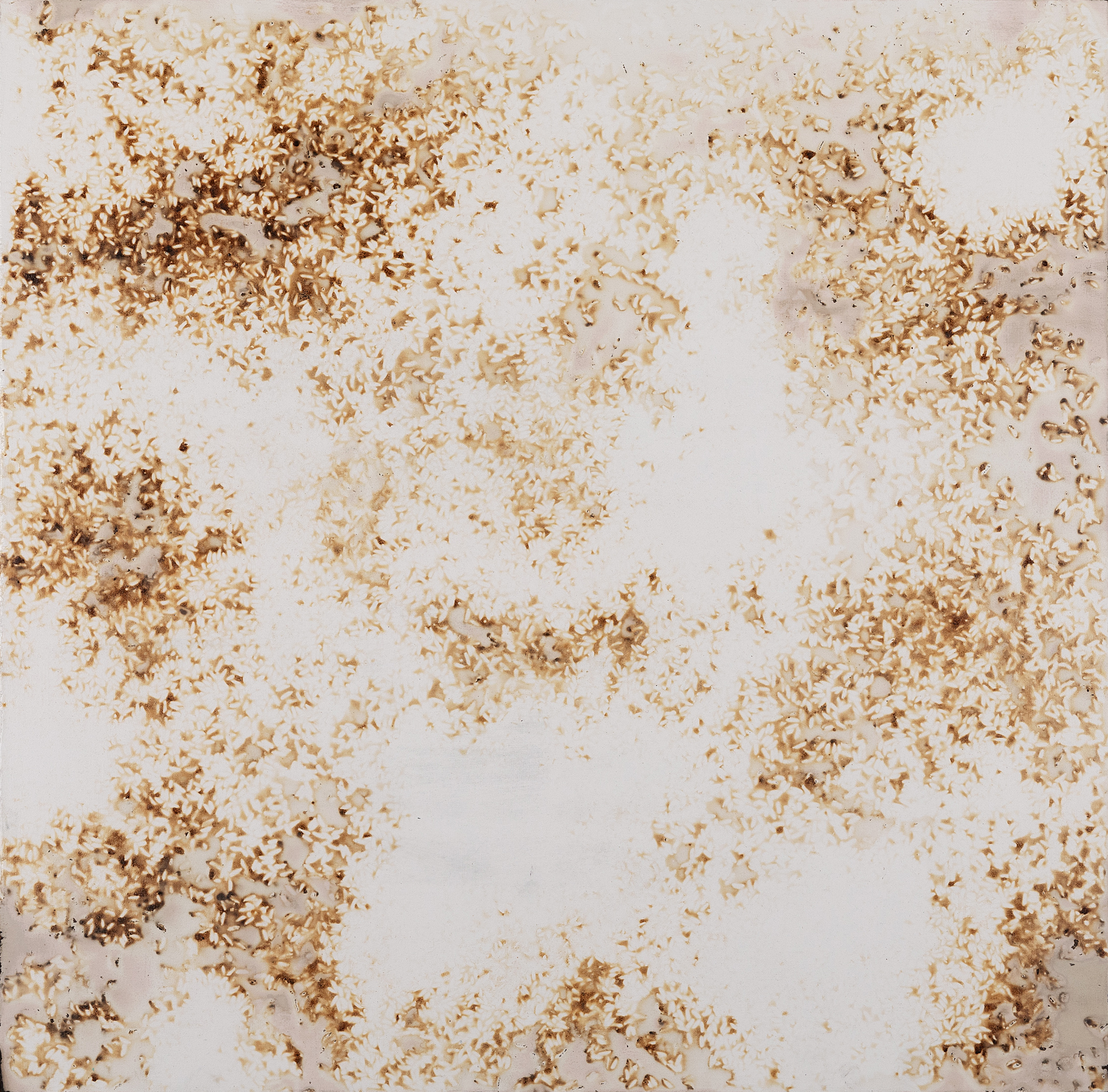 Grain Offering - Michael Watson