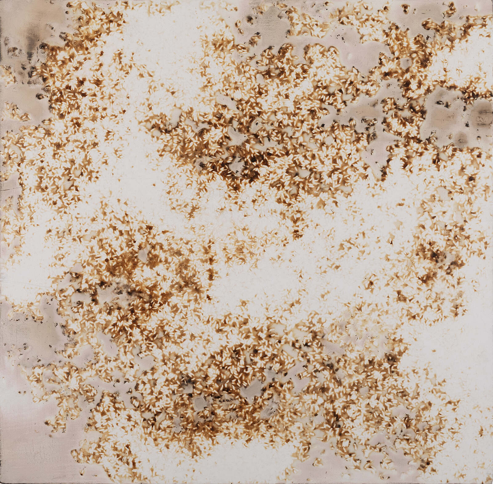 Grain Offering - Michael Watson