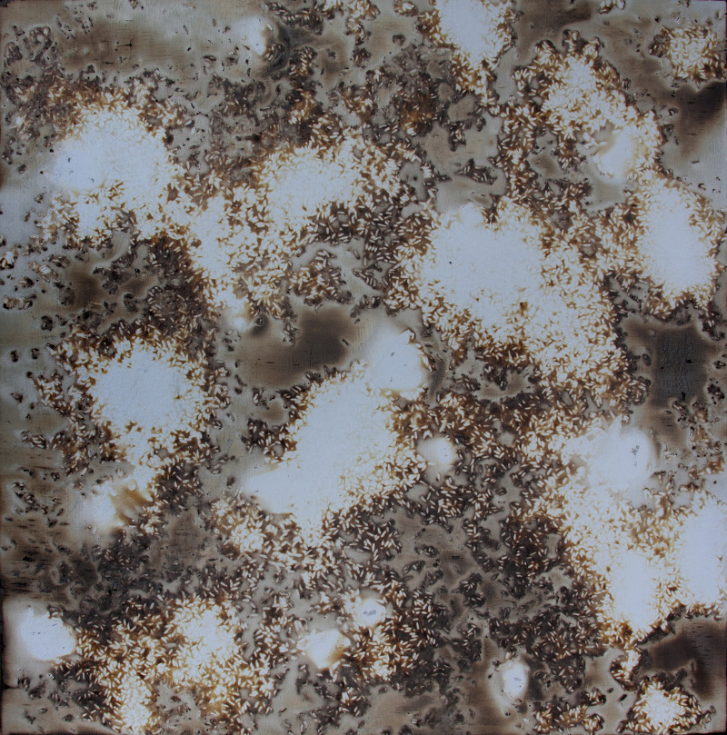 Grain Offering - Michael Watson