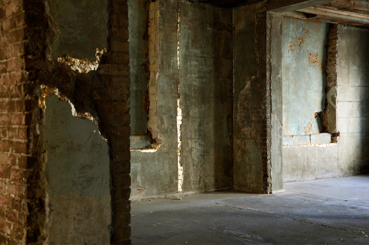 Beauty and Decay - annatalens