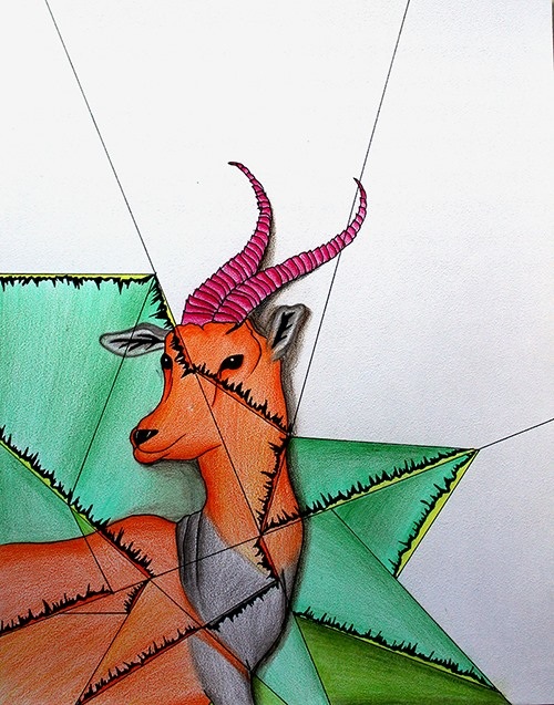 ANIMALS IN DANGER - MIND YOUR SKETCHES