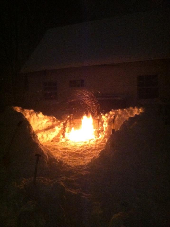 Winter Storm Nemo - archEd