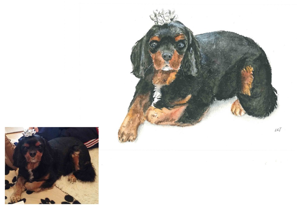 Pet Portraits - Emma Jolly