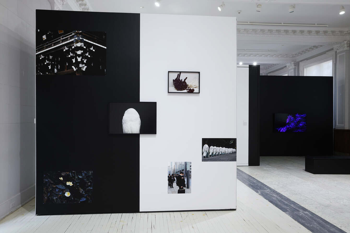 Chromatopia (2025) - Jean-Maxime Dufresne - Projets / Works