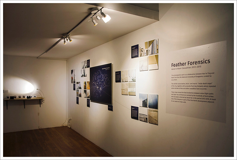 Feather Forensics - The Migrant Ecologies Project