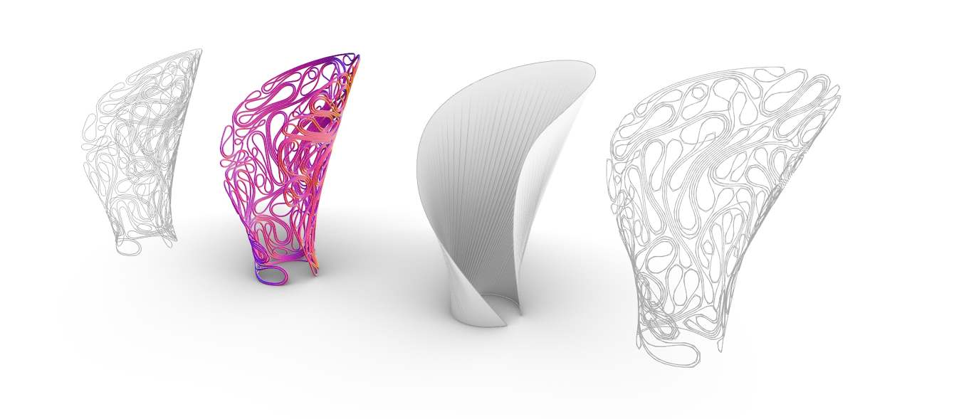 DIFFERENTIAL GROWTH - davidedelgiudice