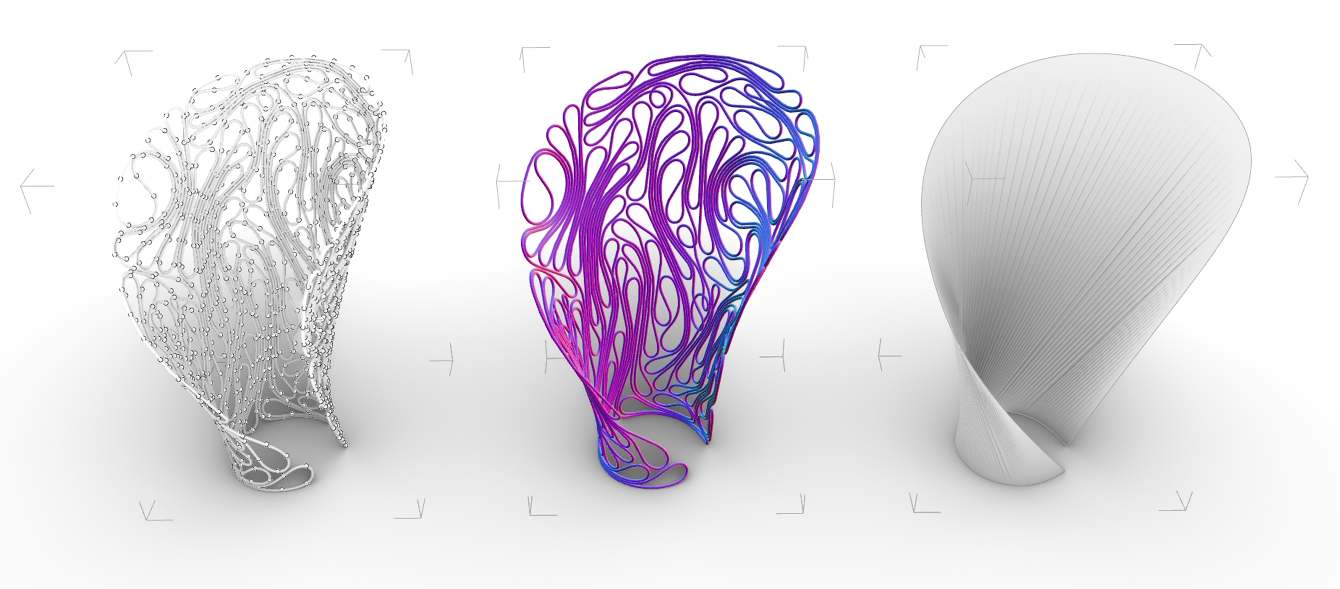 DIFFERENTIAL GROWTH - davidedelgiudice