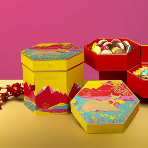 CNY 2021 Packaging Design - emiliesarnel