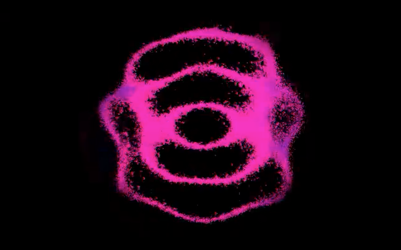 Cymatics with Sand - Chris Love